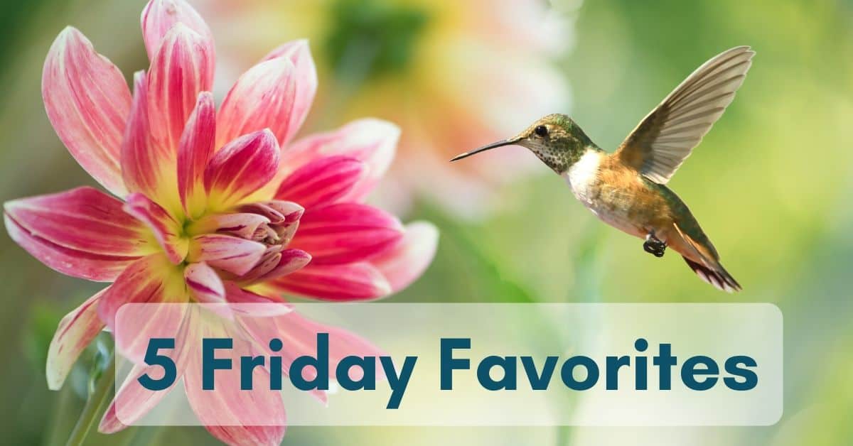 FIVE FABULOUS FRIDAY FINDS - thewittygrittylife.com
